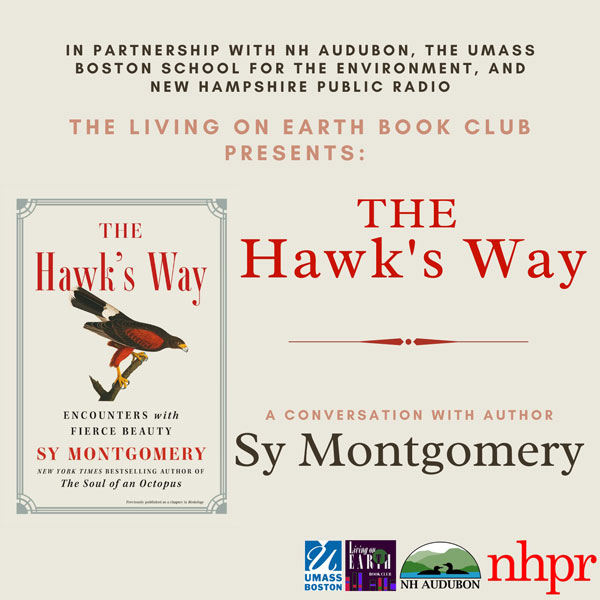 Live Author Interview with Bestselling Author Sy Montgomery on The Hawk ...