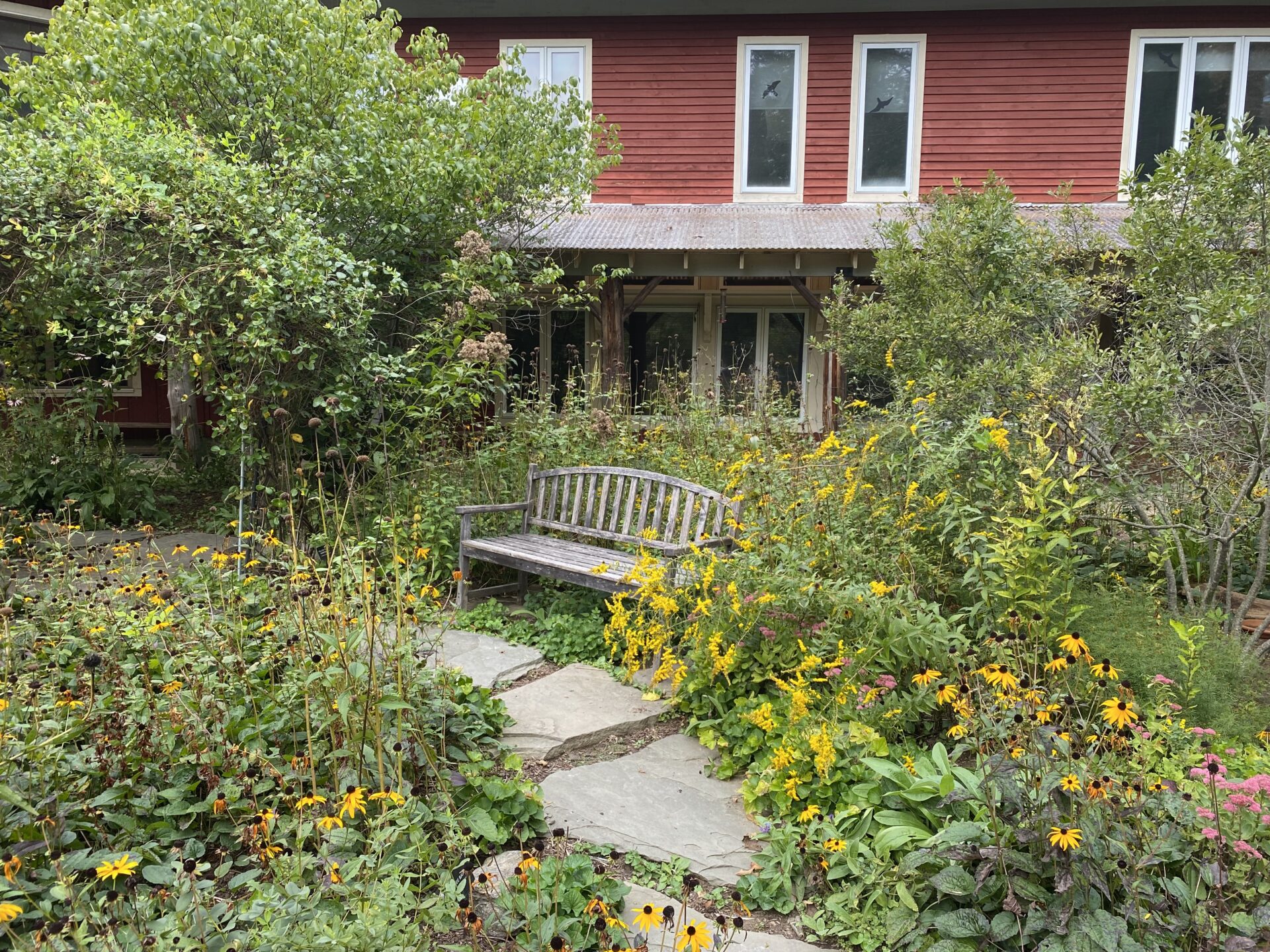 Autumn Garden Clean-up to Encourage Pollinators - NH Audubon