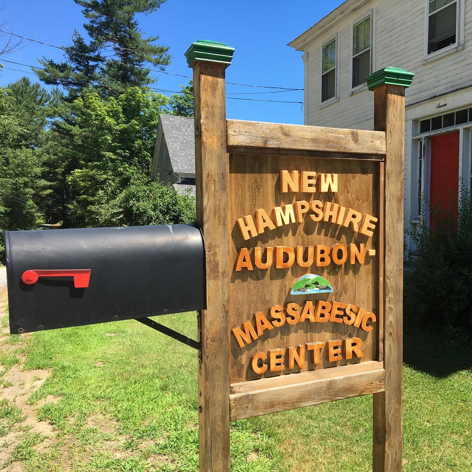 Making an Impact through Education - NH Audubon