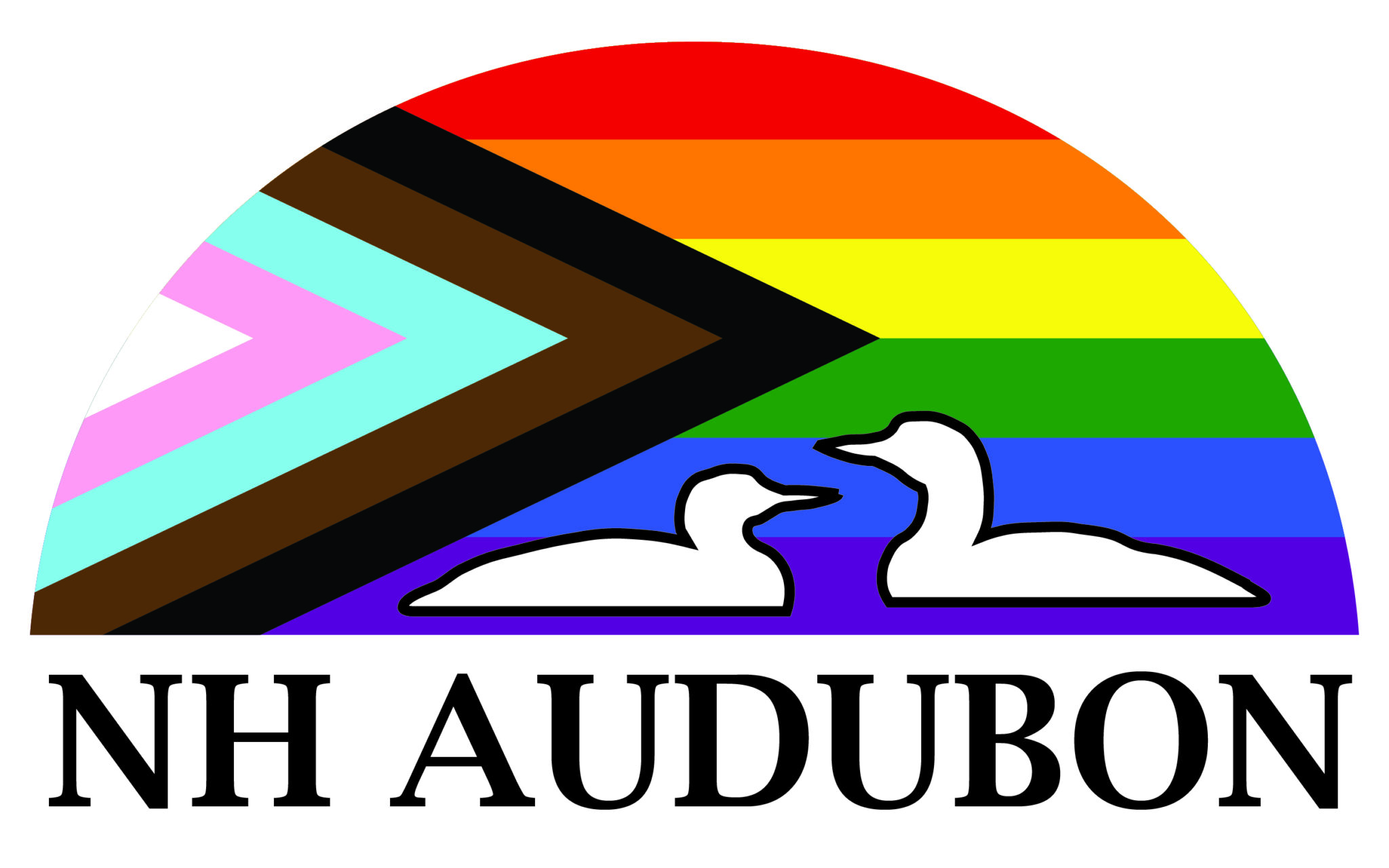Commitment to Equity and Inclusion - NH Audubon