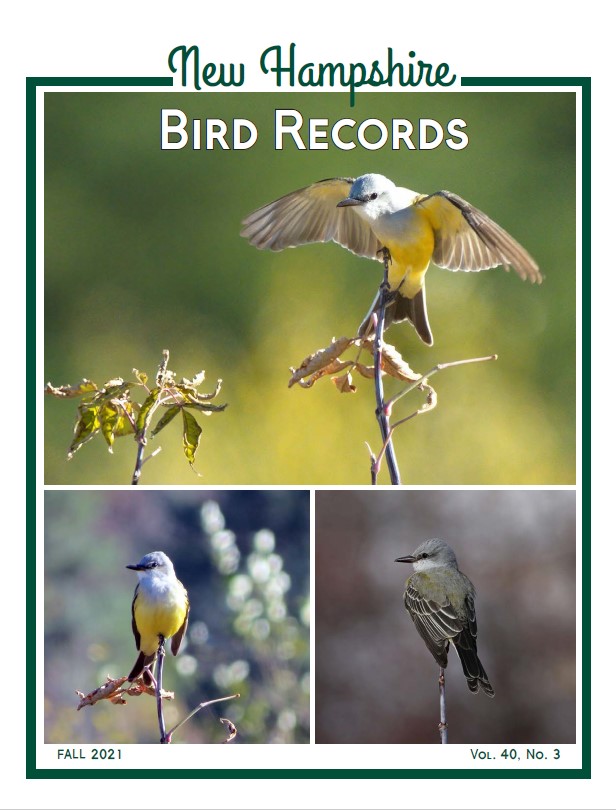 Homepage - NH Audubon