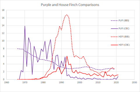 Bird of the Month: Purple Finch - NH Audubon