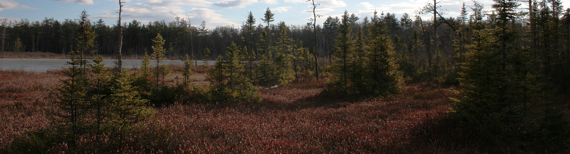 Smith Pond Bog Wildlife Sanctuary - NH Audubon