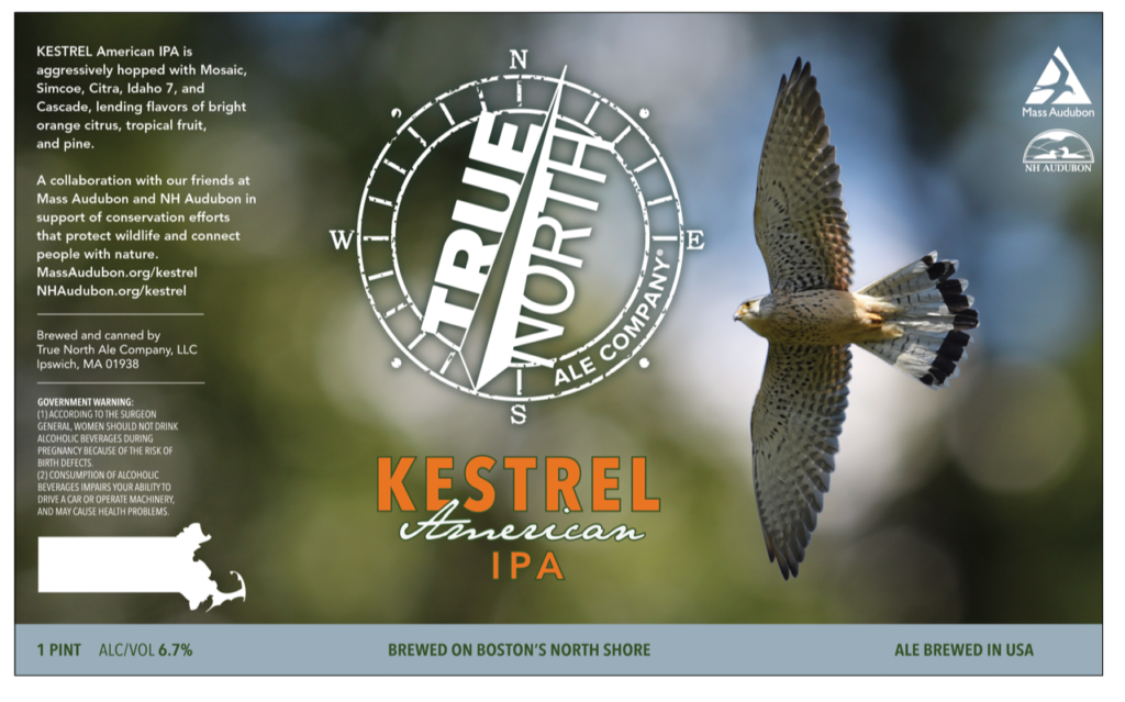 Kestrel IPA coming to NH - NH Audubon