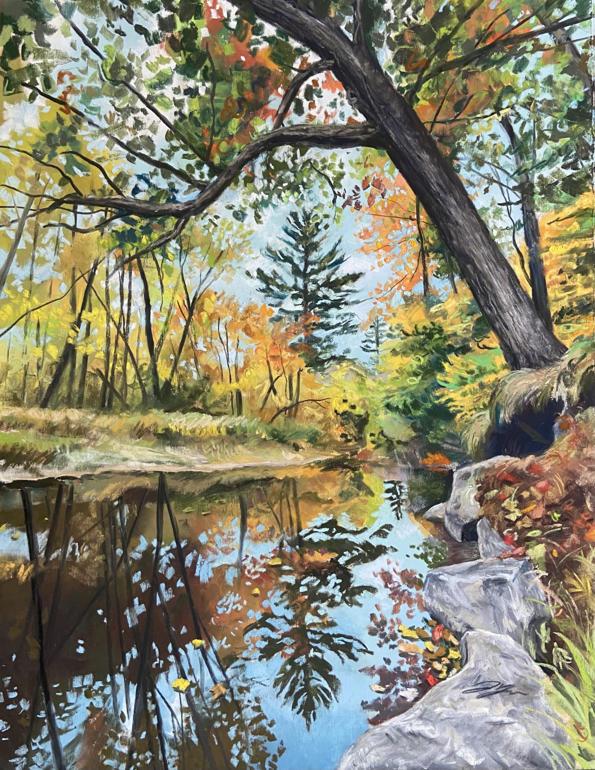 "Human / Nature" by Jackie Hanson - NH Audubon