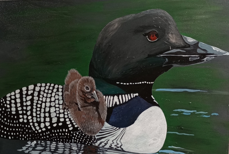 "Native New Hampshire Birds" Coming to the McLane Center - NH Audubon