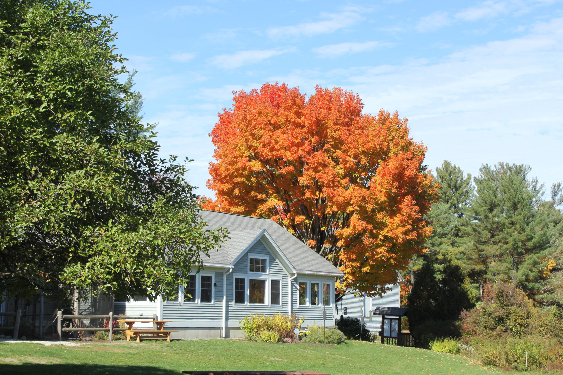 News - NH Audubon