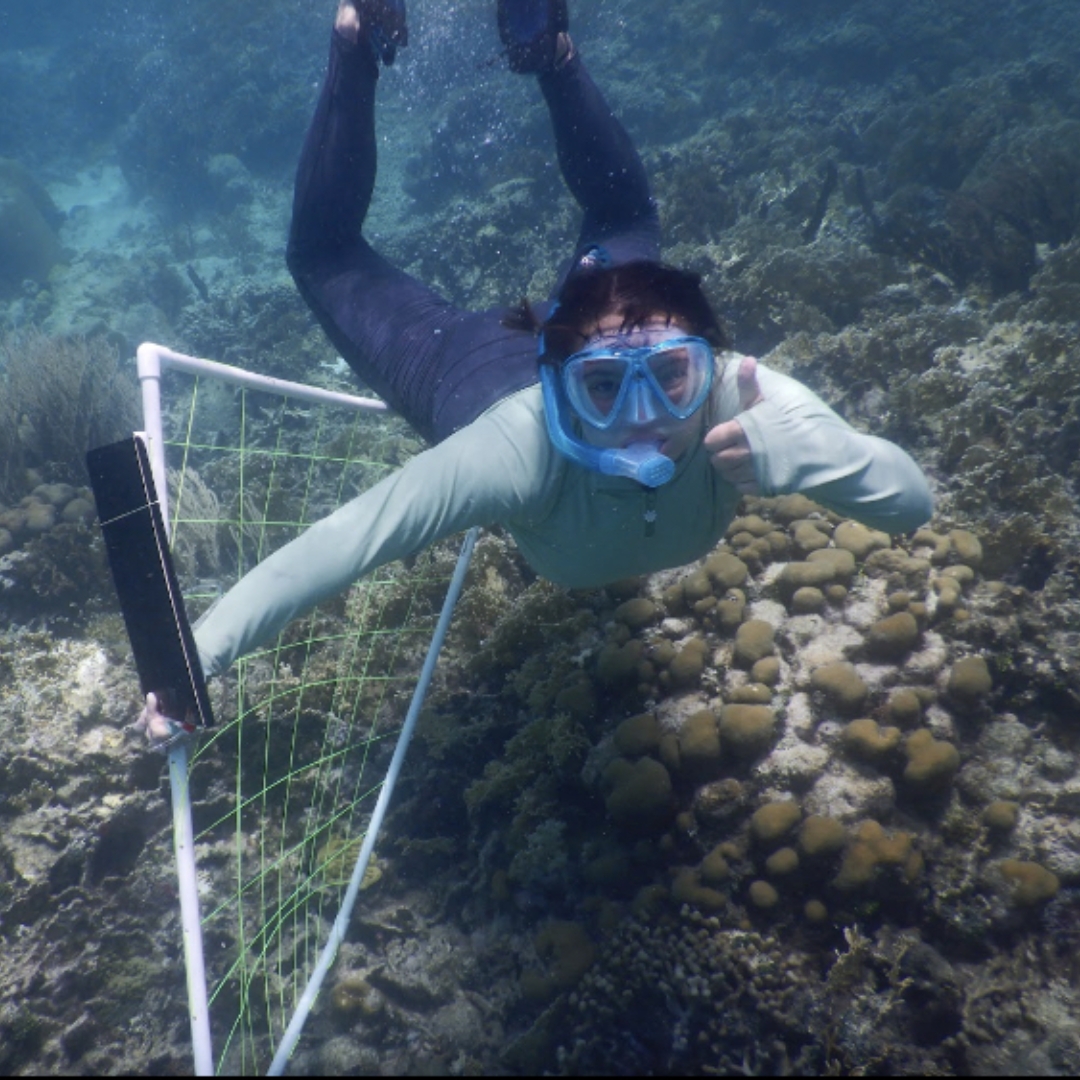 Homepage - NH Audubon