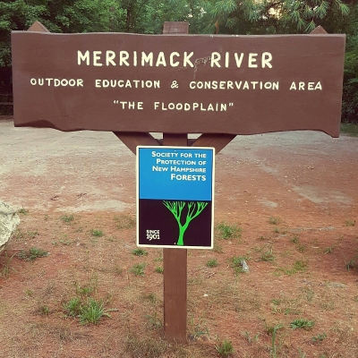 Birding Outing at Merrimack River Outdoor Education and Conservation ...