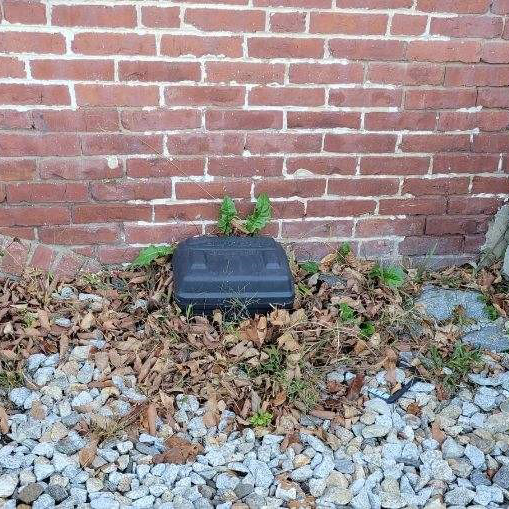 Rodenticides - NH Audubon