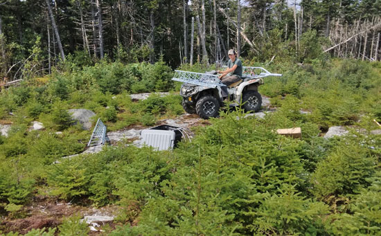 What it Takes to Install a New Motus Tower - NH Audubon
