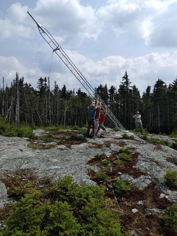 What it Takes to Install a New Motus Tower - NH Audubon